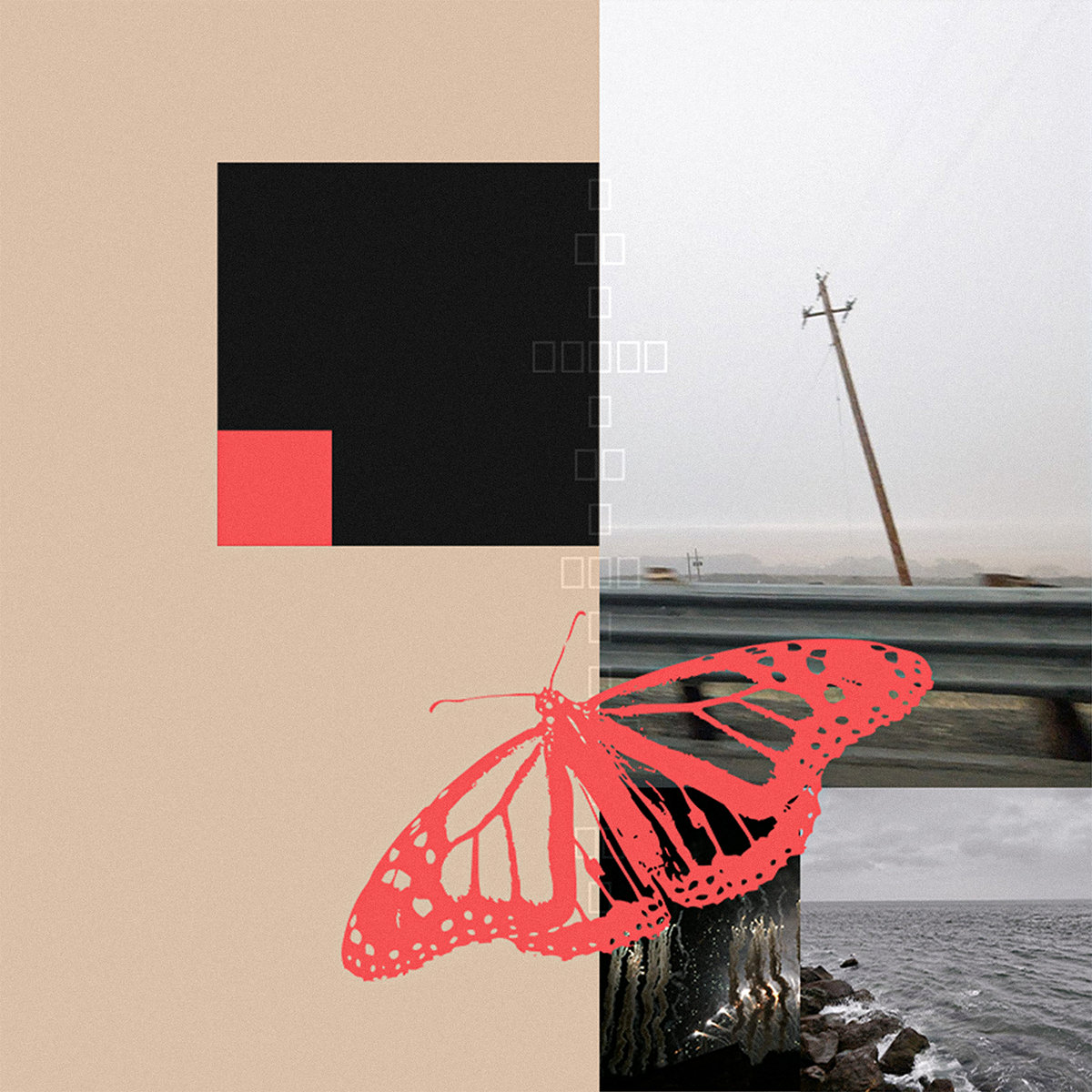 WINGS IN CONCRETE | OSWVLD
