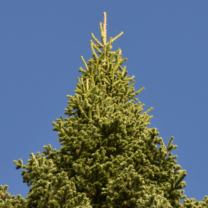 Now I Know What I Need To Do... | Kysta