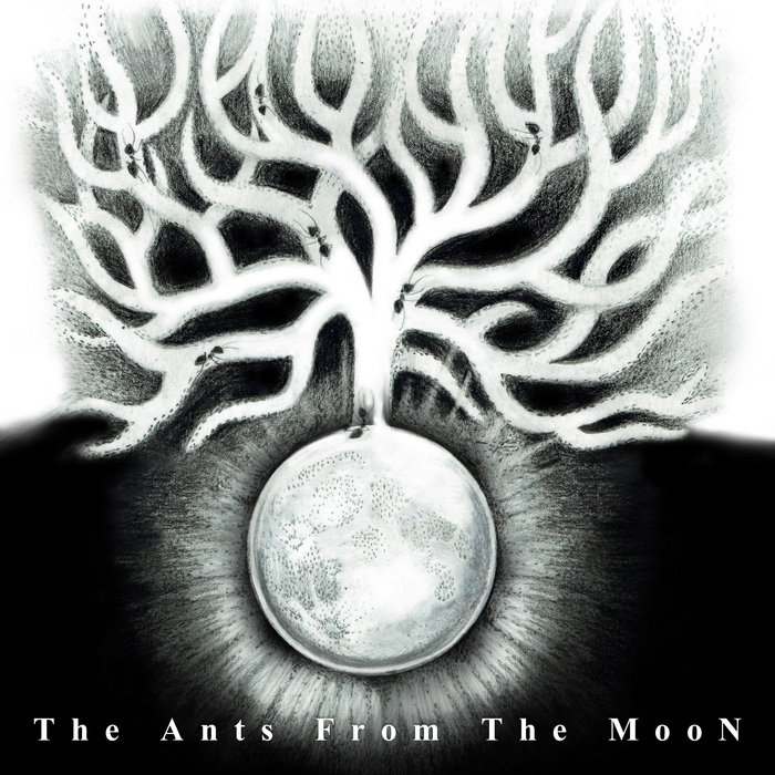 The Ants From The MooN | The Ants From The MooN