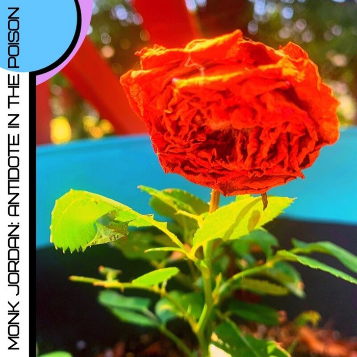 Antidote In The Poison | Monk Jordan