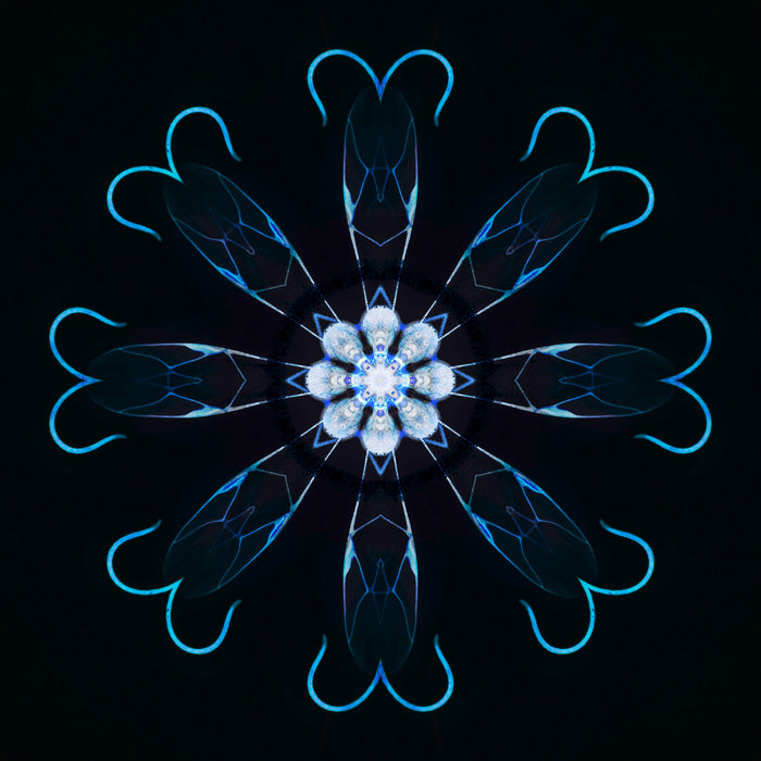 Distant Waves | DTime