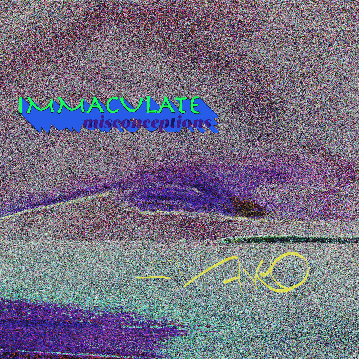 Immaculate Misconceptions | Ivanko