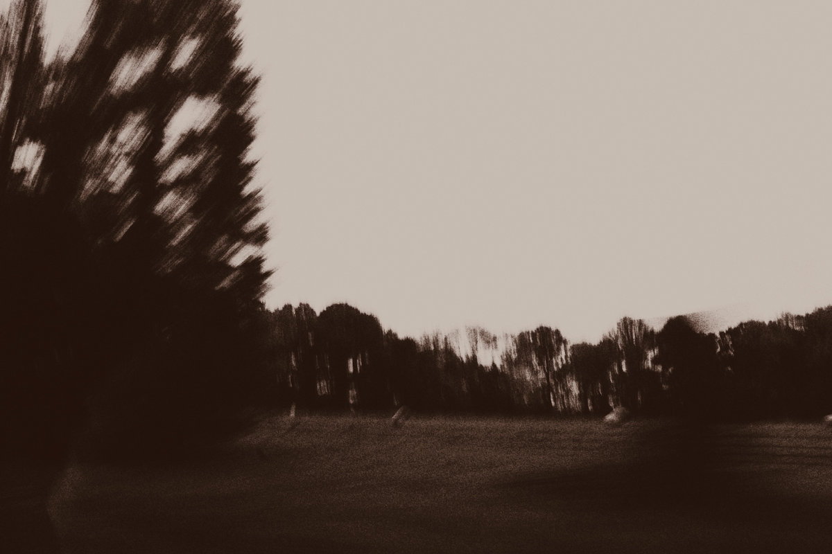 Buttercups | Jake Lane