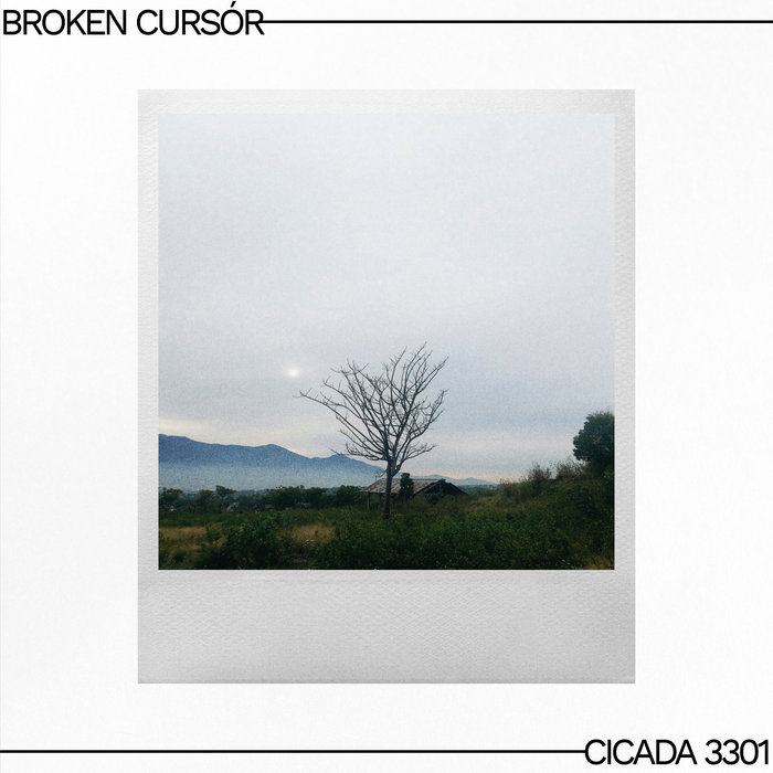 Split | Broken Cursór // Cicada 3301 | CICADA 3301