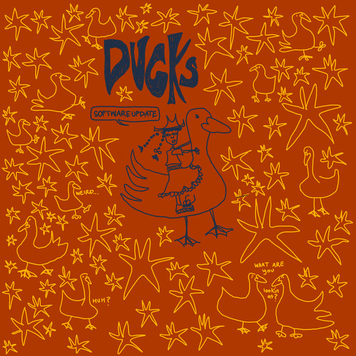 Ducks | Software Update