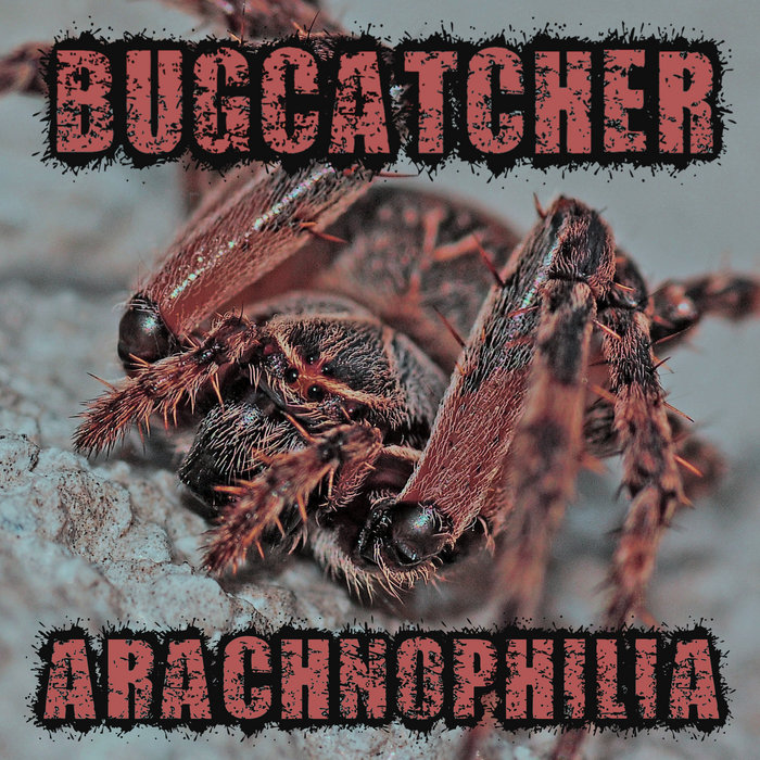 Arachnophilia Bug Catcher Nature Noise Wall