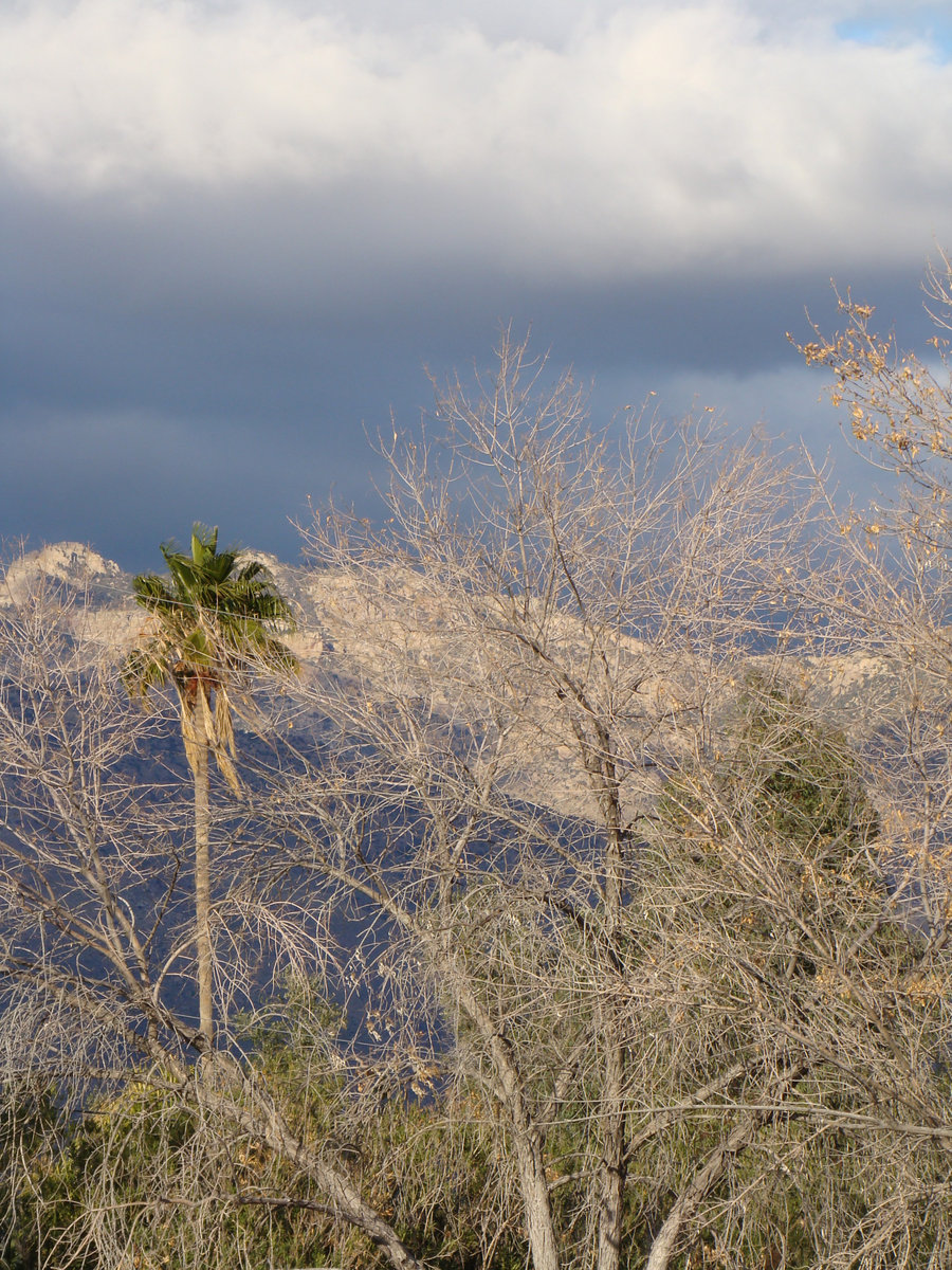 Waiting for the sun | Michael Forkan