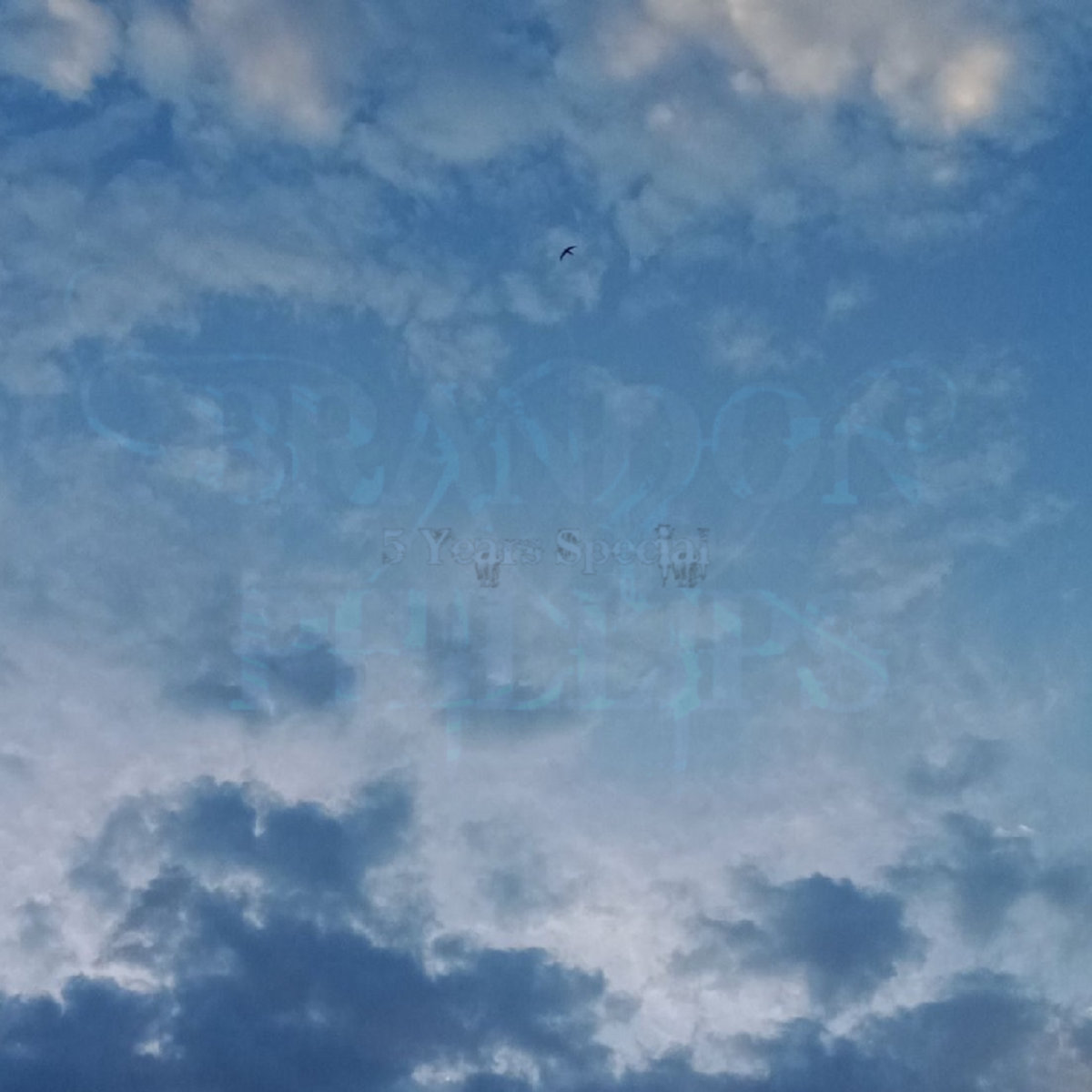 Five Years Special | Brandon Phillips (BP2004) | BP2004