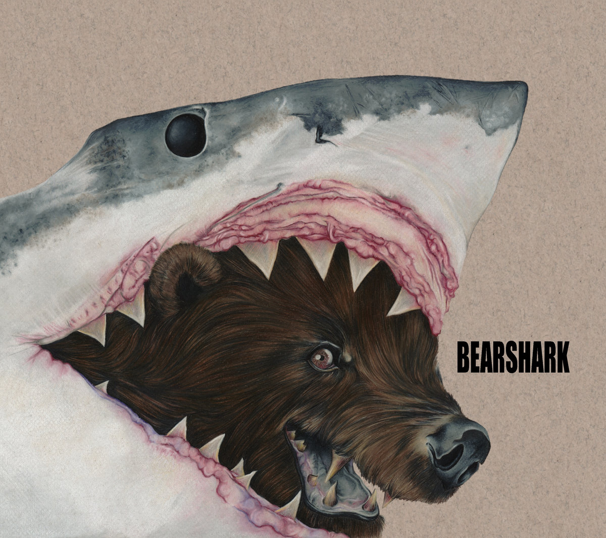 Bearshark