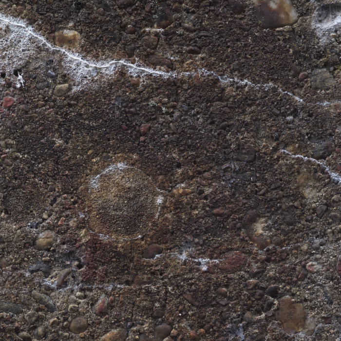 everybody shares a name | Sean Rubin