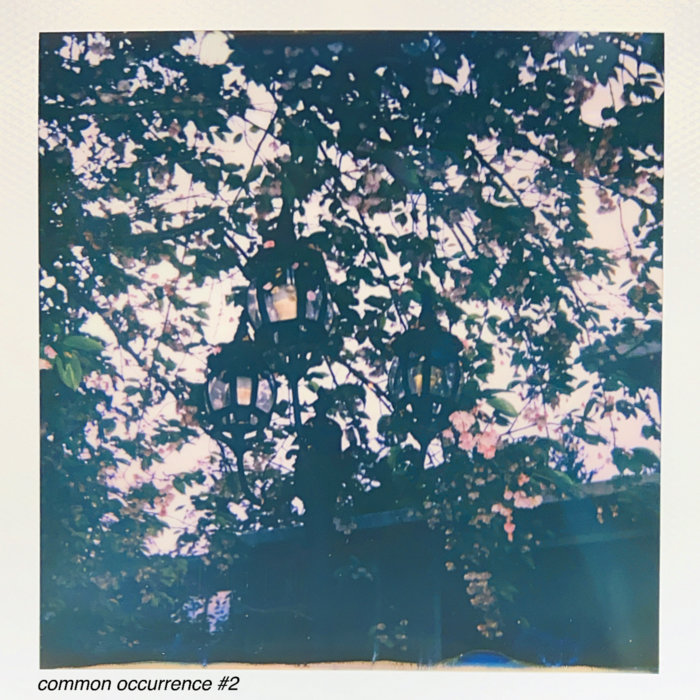 common occurrence #2 | common occurrence!