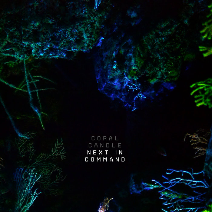 Next in Command | Coral Candle