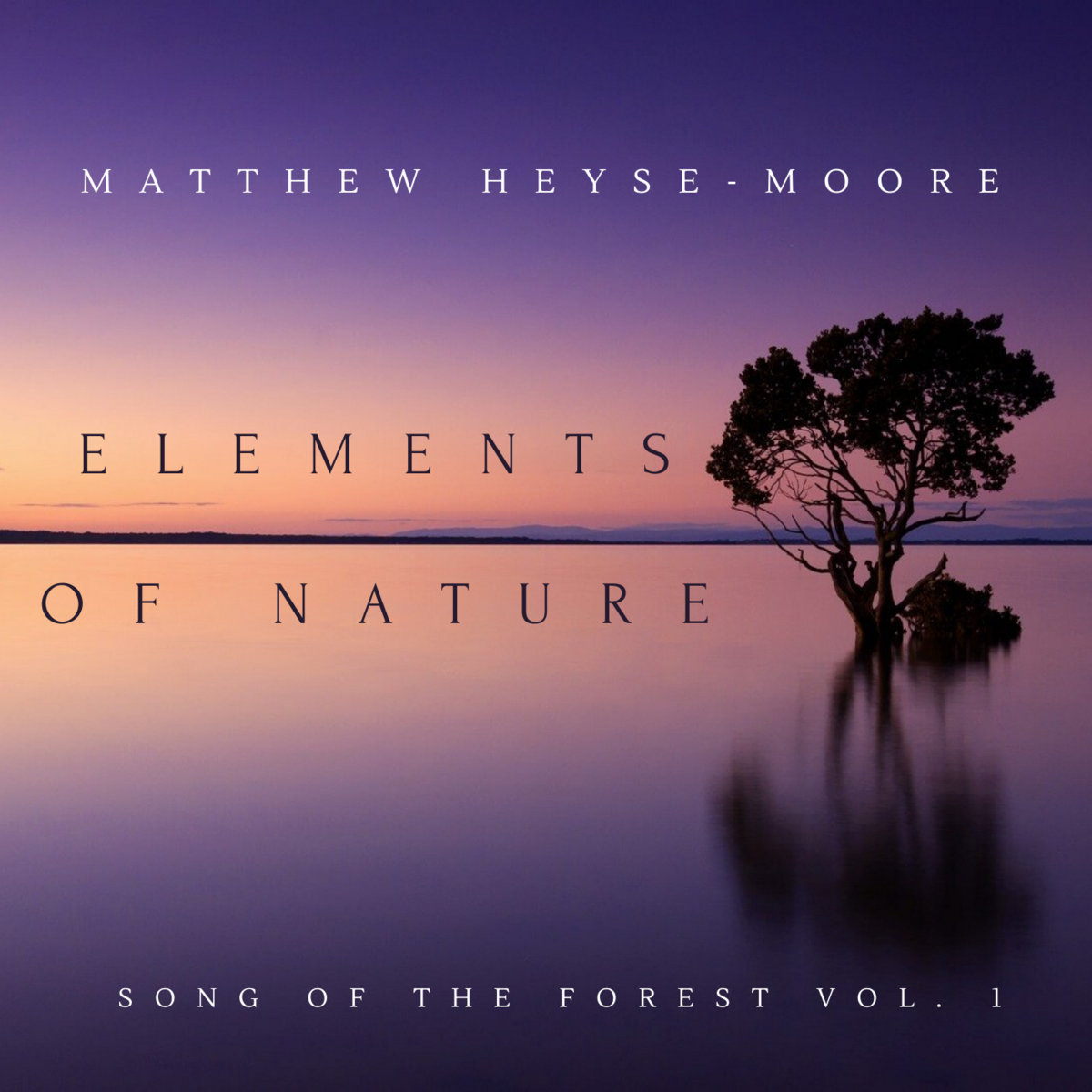Elements of Nature (Song of the Forest vol. 1) | Matthew Heyse-Moore
