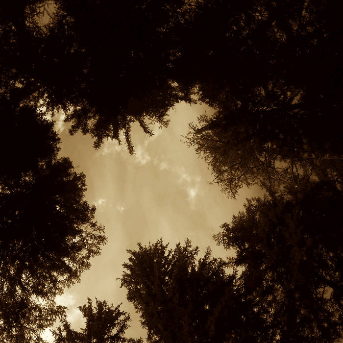 World of Garbled Words | The Keesling/Gardner Project