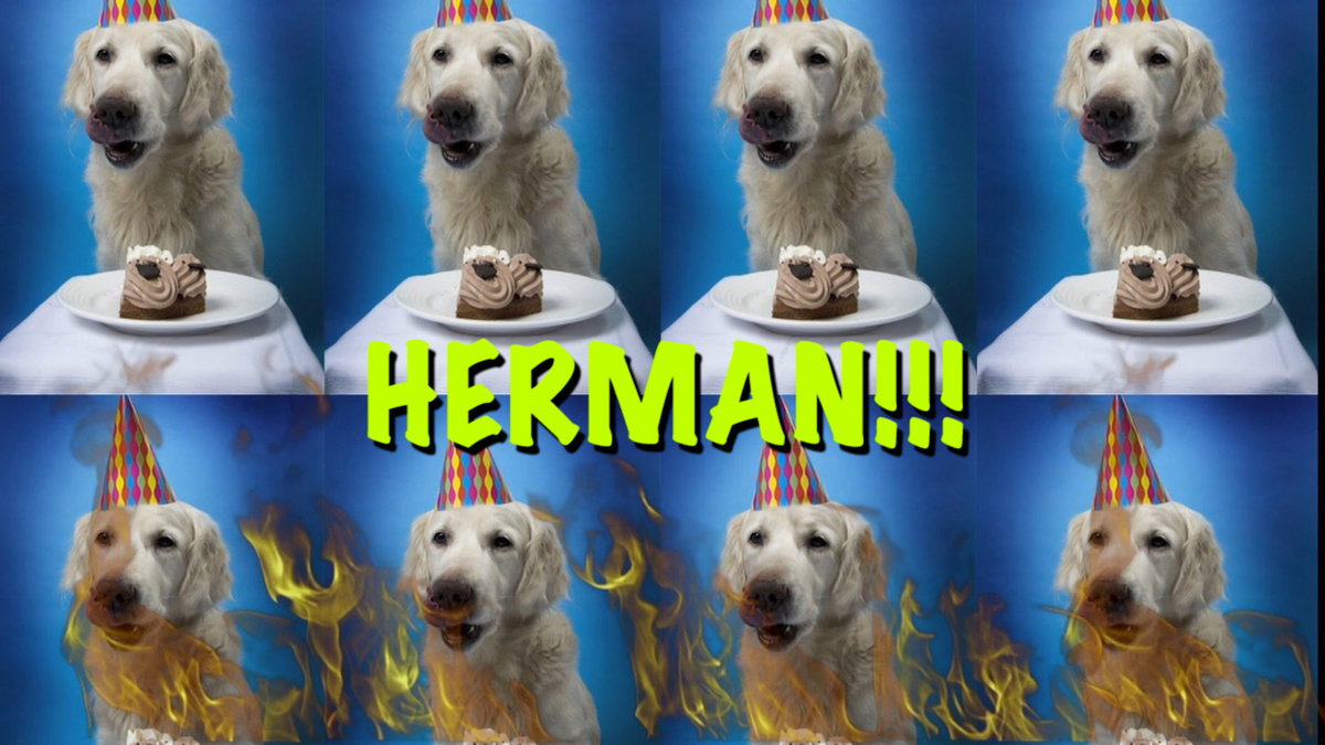 HAPPY BIRTHDAY HERMAN! | Epic Happy Birthdays