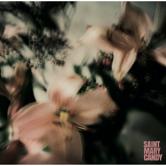 Saint Mary Candy | Saint Mary Candy