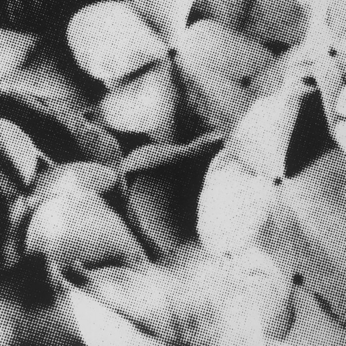 The Collapse of the Cheekbone is the Death of the Comité de salut ...