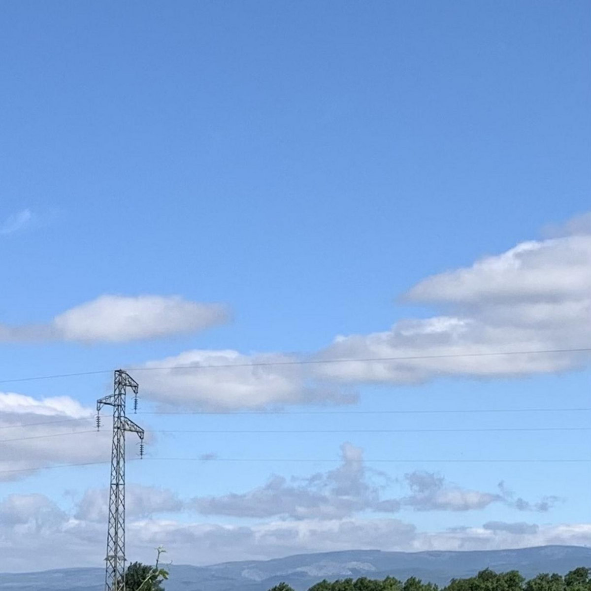 revival 20' | lower_flower