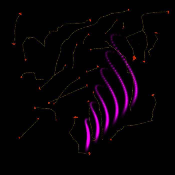 THE QUARANTINE FILES | RAY COYLE
