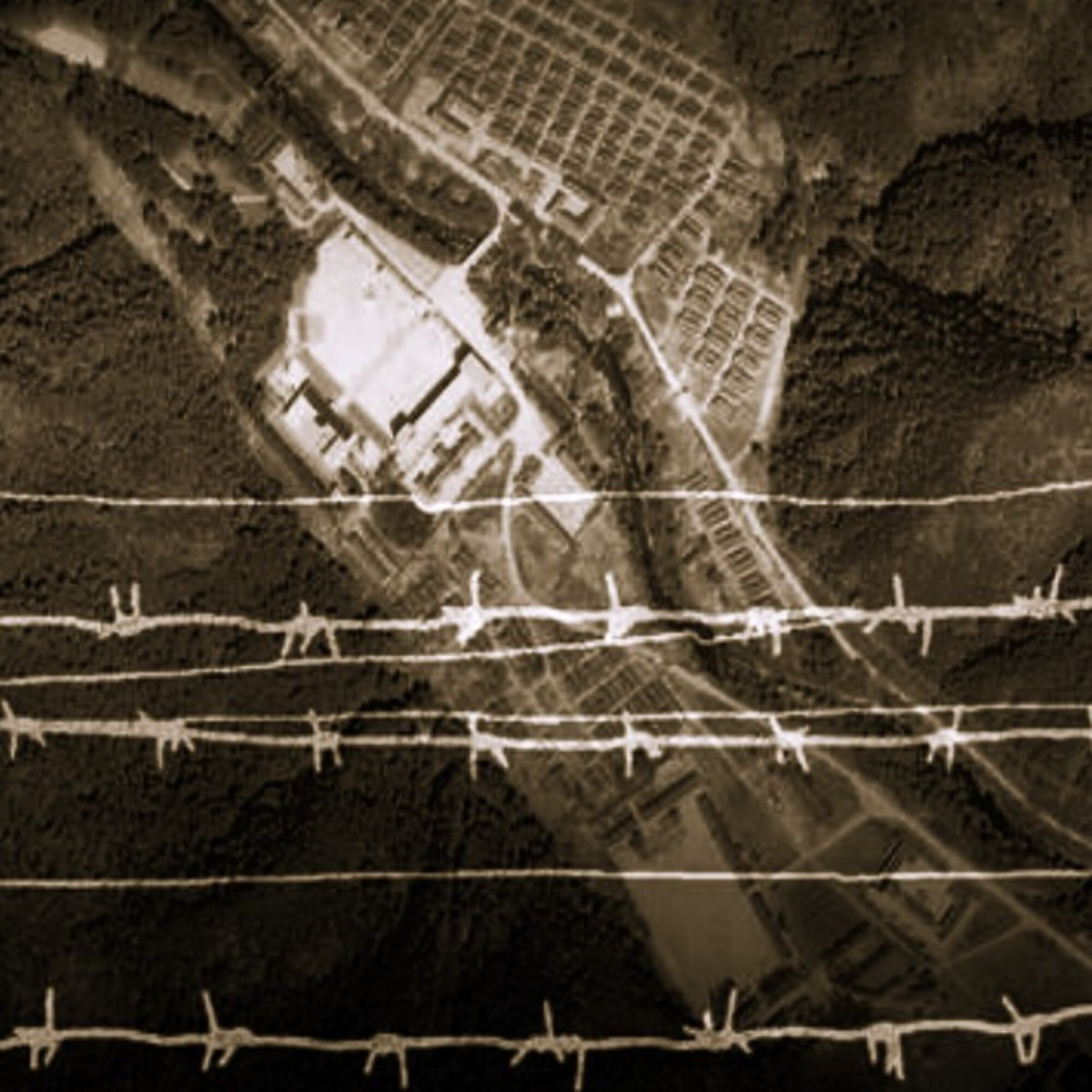 We Are Not Allies, We Live In Camps | Birthday Deathbed | Pukehammer ...