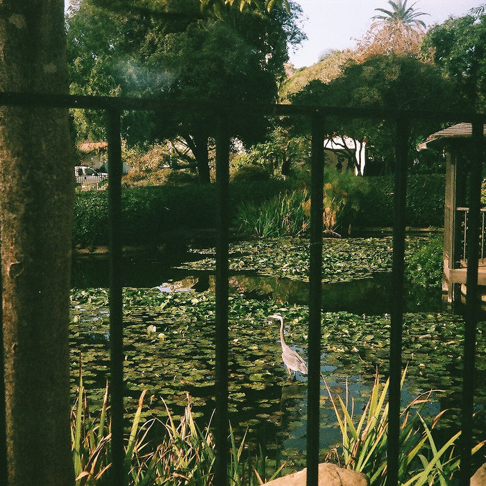 Bubble Pushing | Memory Leaks