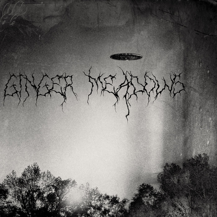 Girl From The Moon | Ginger Meadows