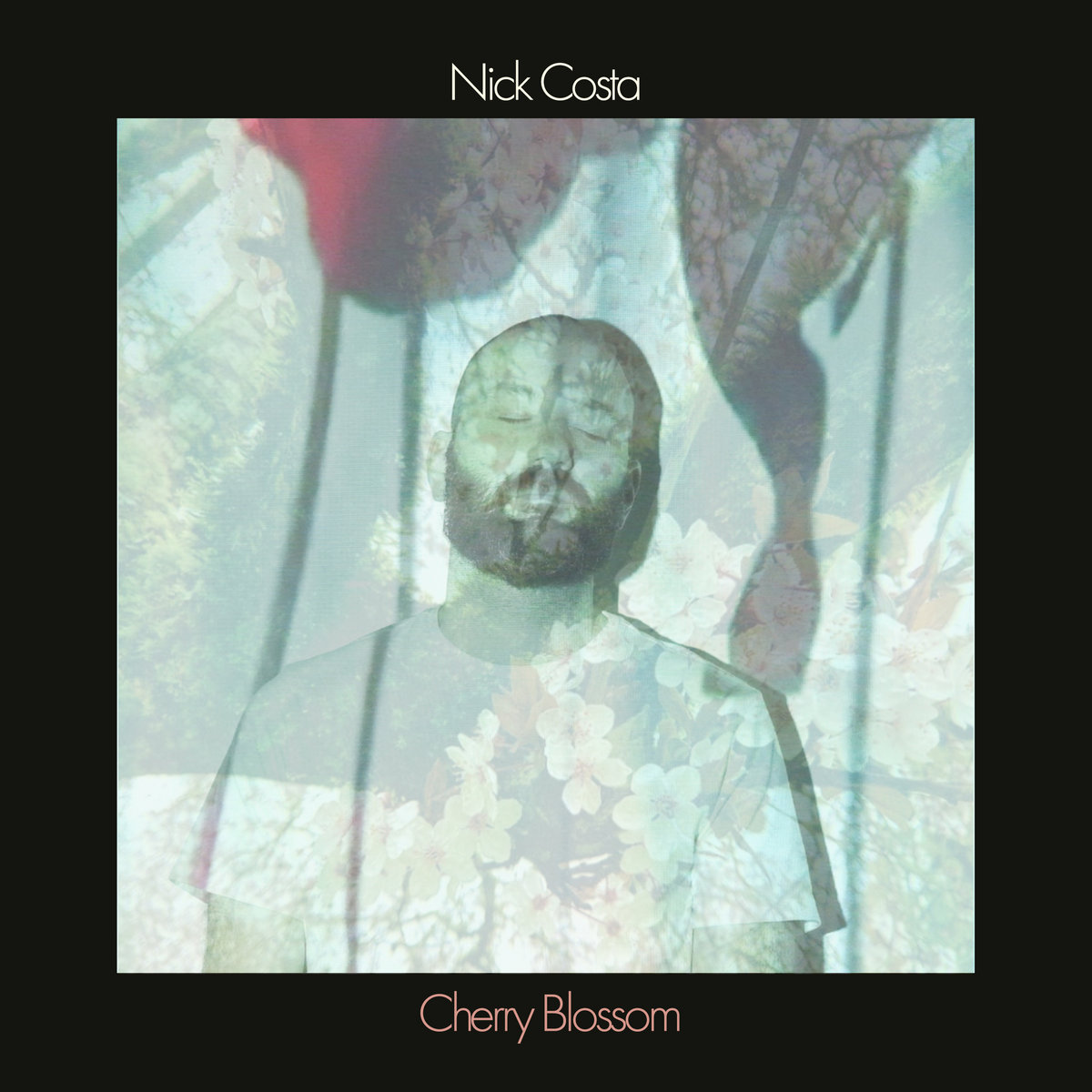 Cherry Blossom | Nick Costa