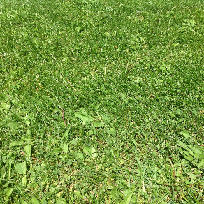 Summer Veins Ep | Jonathan Rager & Jeff Weakland | Jonathan Rager