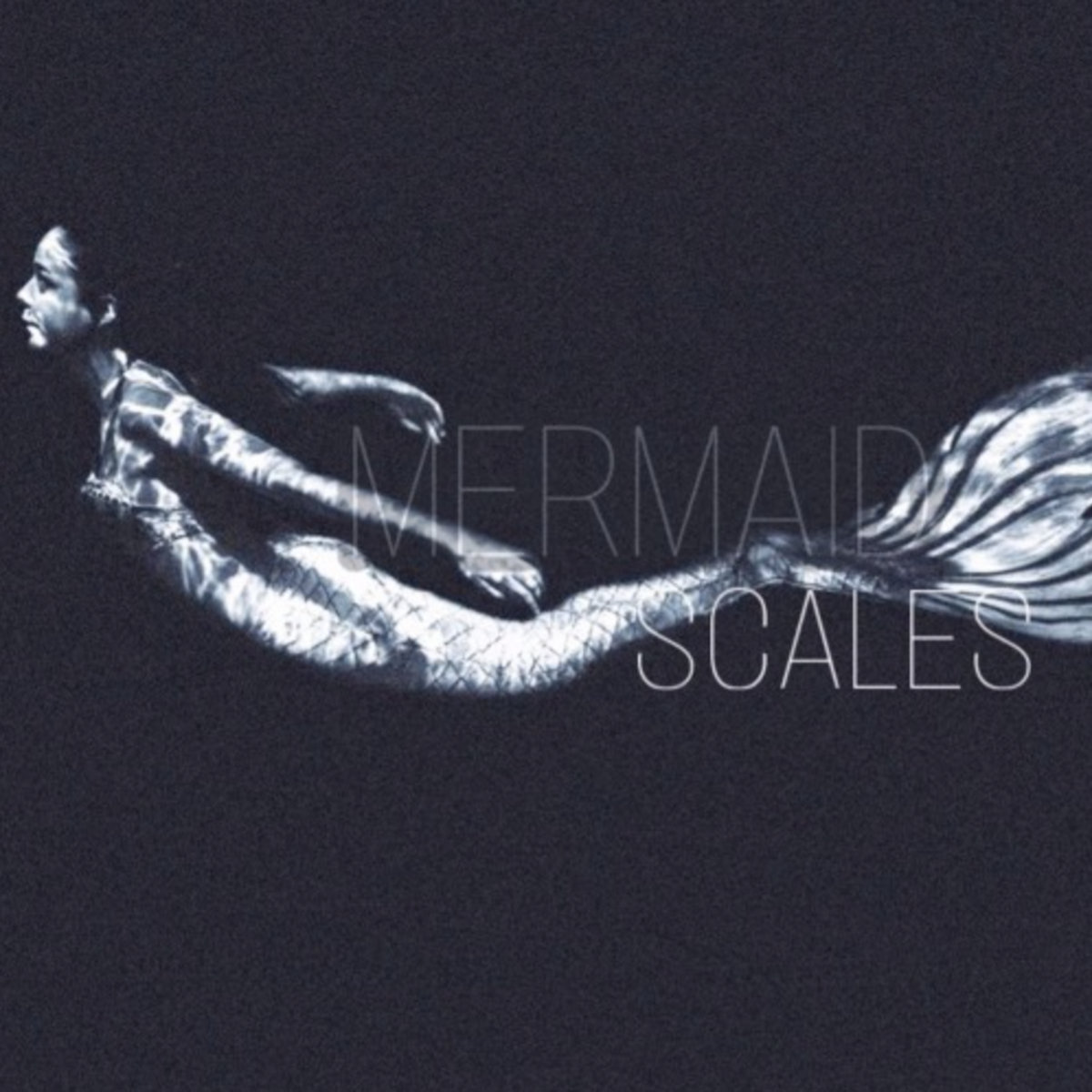 Mermaid Scales | Baldboy | BLD