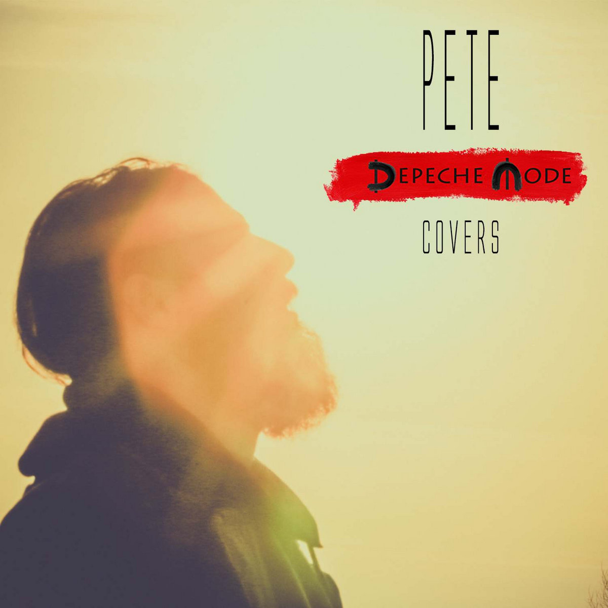 Depeche Mode covers | Pete
