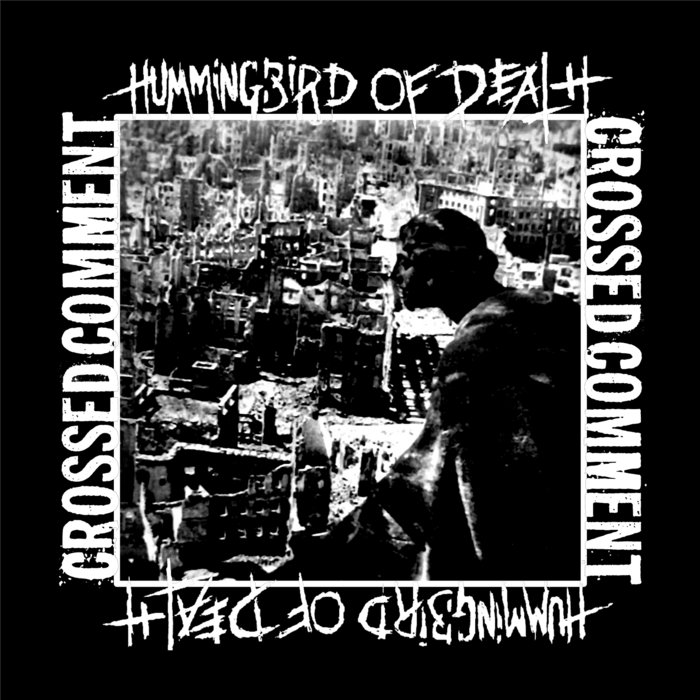 Split 6inch w/ Hummingbird of Death | Crossed Comment / Hummingbird of ...