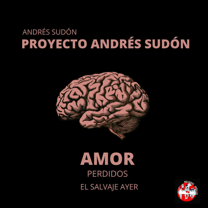 AMOR | Andrés Sudón