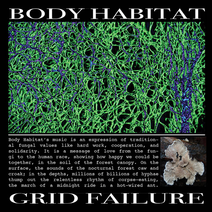 Grid Failure | Body Habitat | German Army