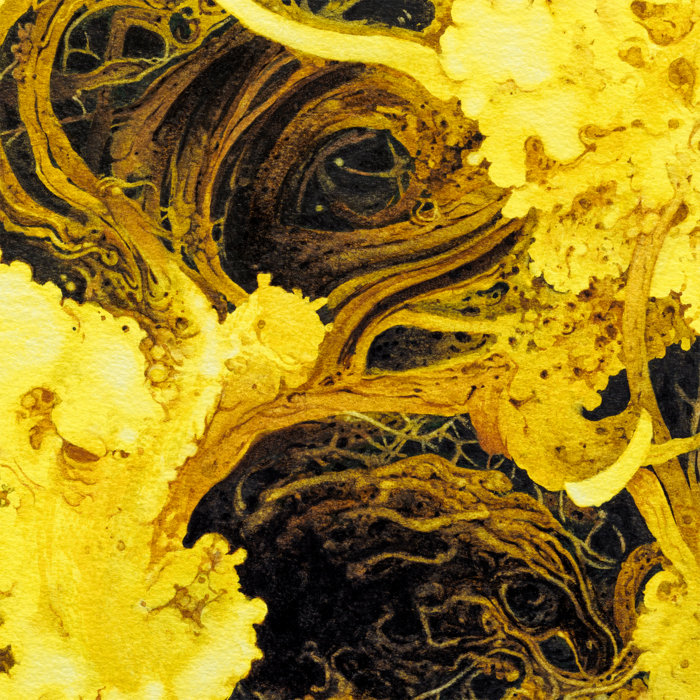 A Pale Omen | Gathering Stones