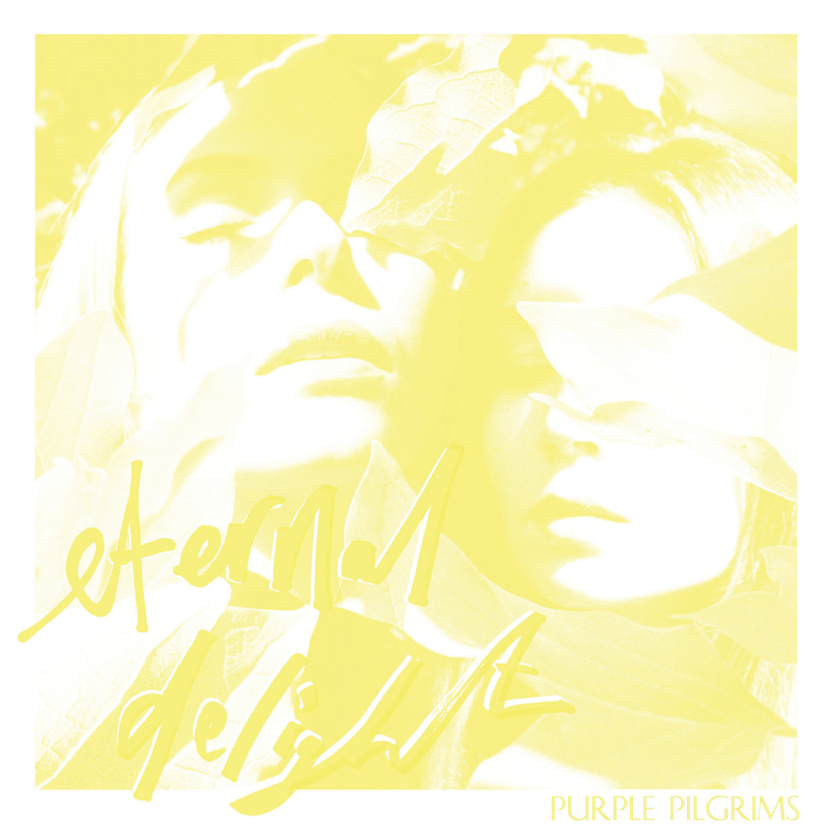 Eternal Delight | Purple Pilgrims