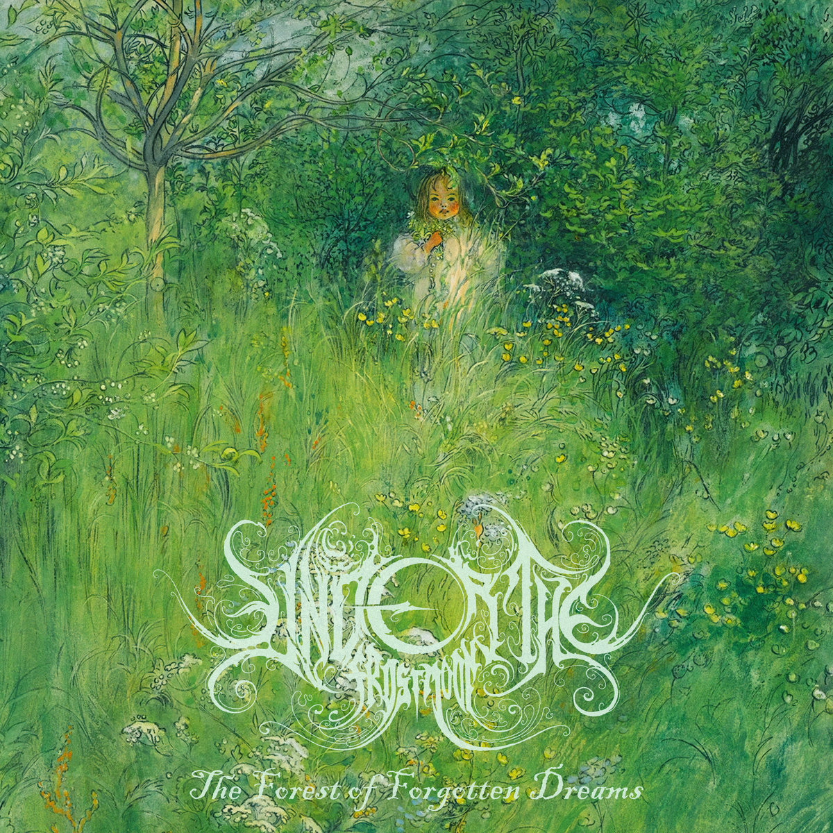 The Forest of Forgotten Dreams | Under the Frost Moon