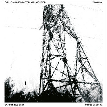 Music | CARTON RECORDS