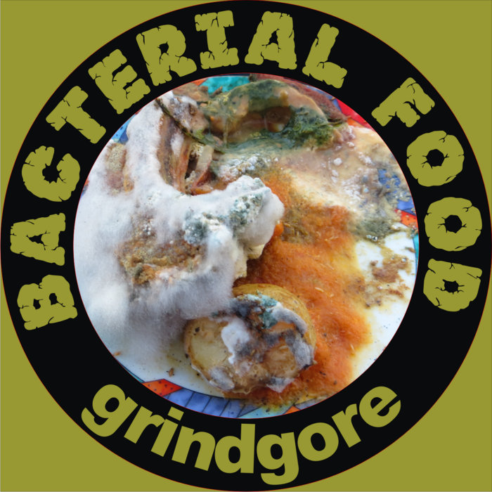 Contaminated Bacteria Food | Bacterial Food