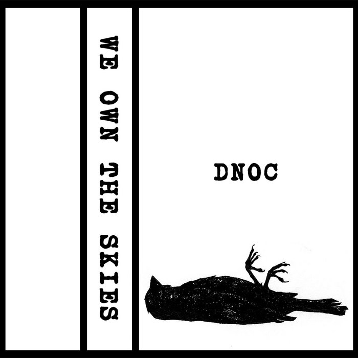 We Own the Skies | DNOC