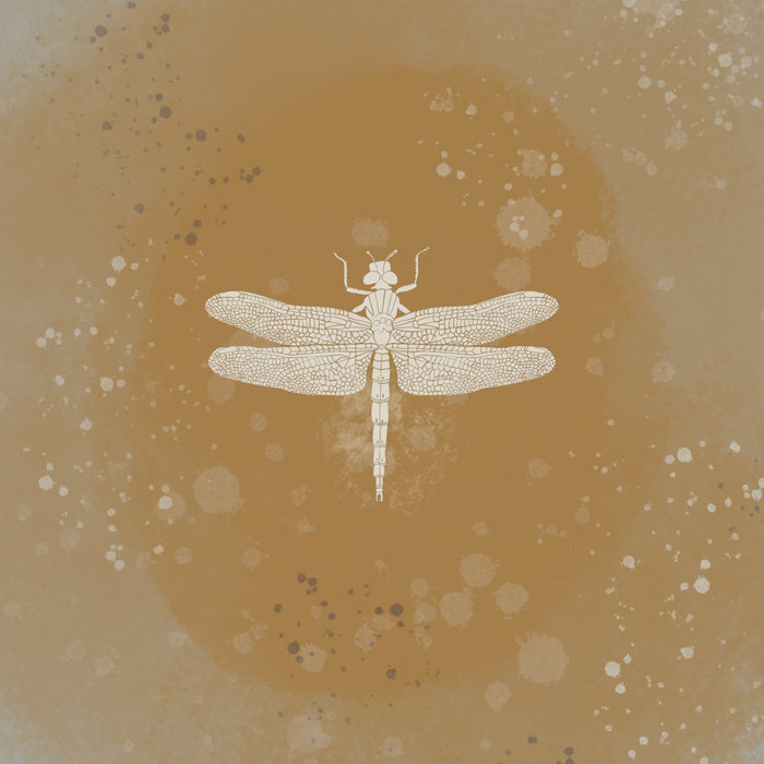 In Amber | Amelia Zenerino