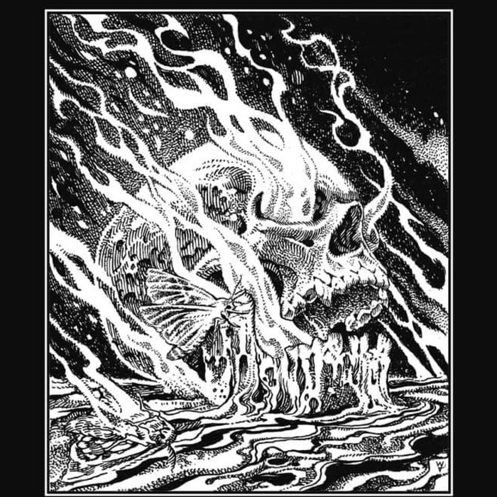 Learn To Suffer | Acid Moth