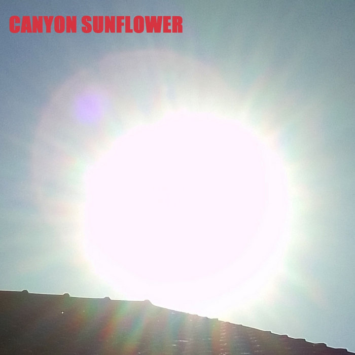 Silent Sun - Long Time (Single) | Canyon Sunflower