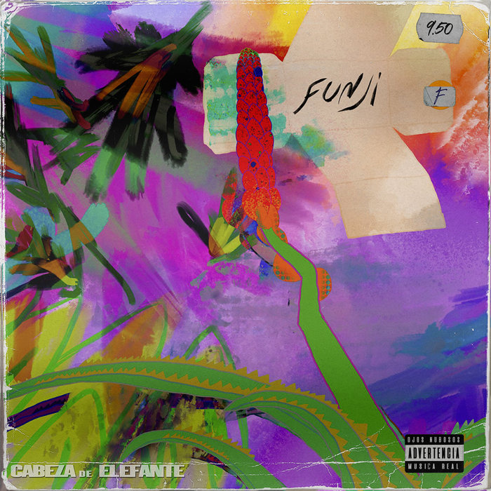 Funji | Cabeza de Elefante