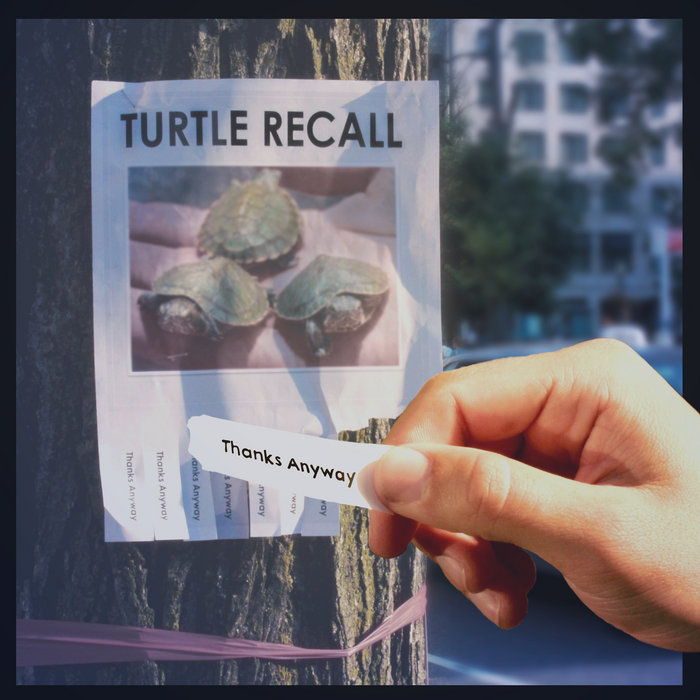 Thanks Anyway | Turtle Recall