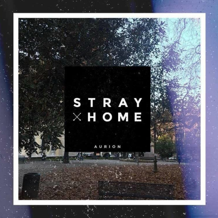 Stray Home | AURION
