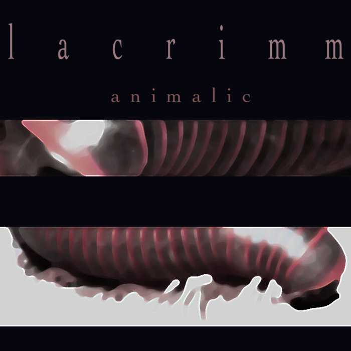 Animalic | lacrimm