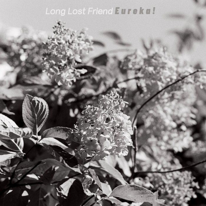 Eureka! | Long Lost Friend