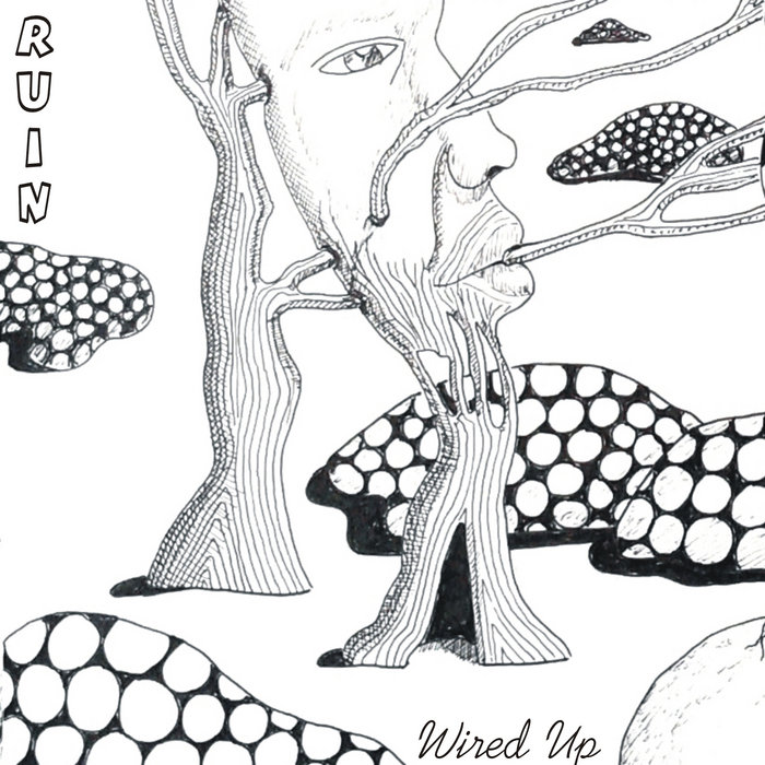 Wired Up Ruin wired-up-ruin