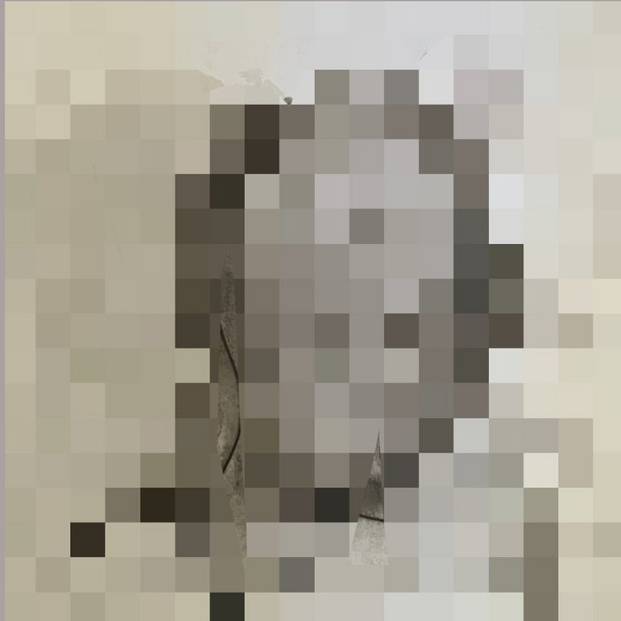 The Human Instrument | Aniseed