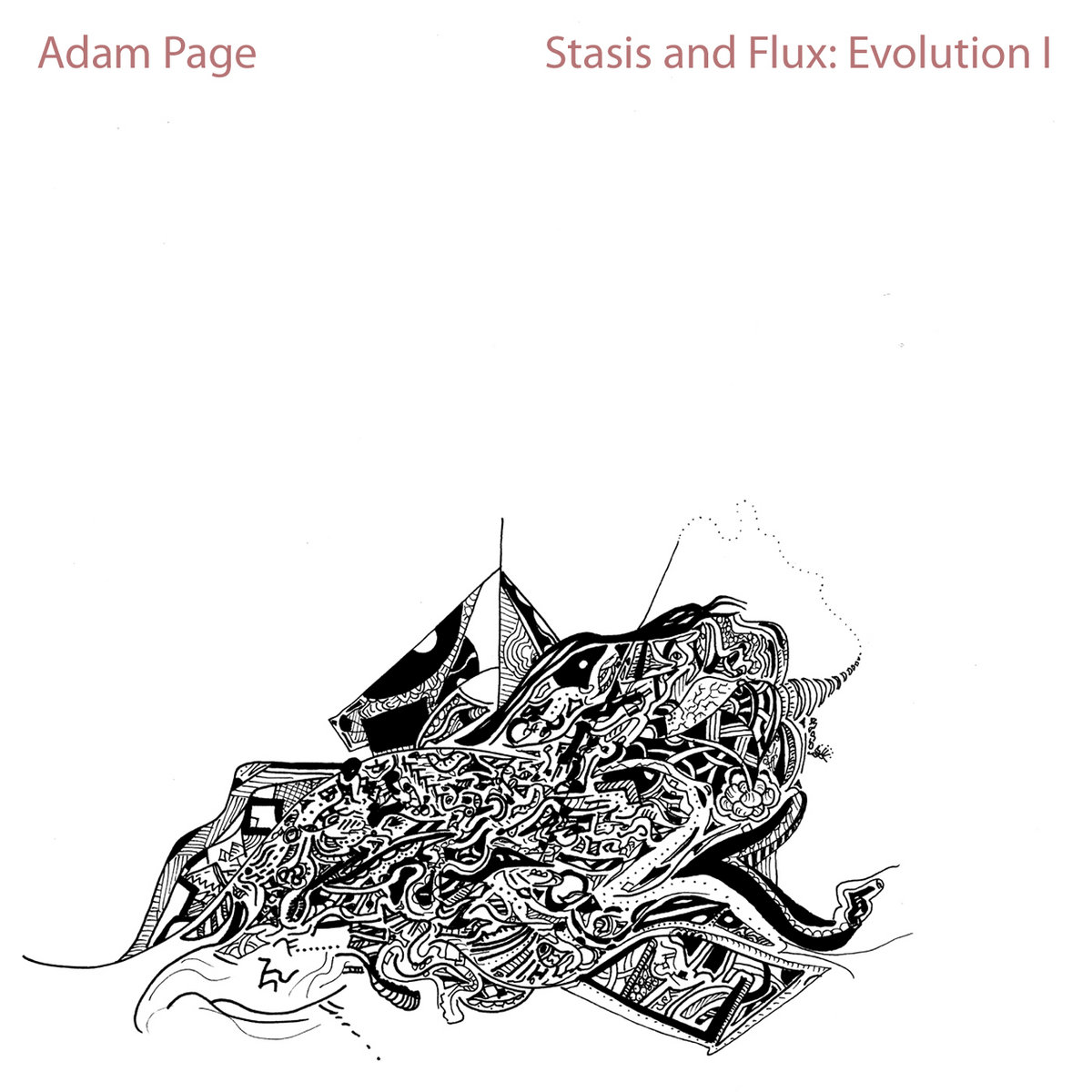 Stasis and Flux: Evolution I | Adam Page